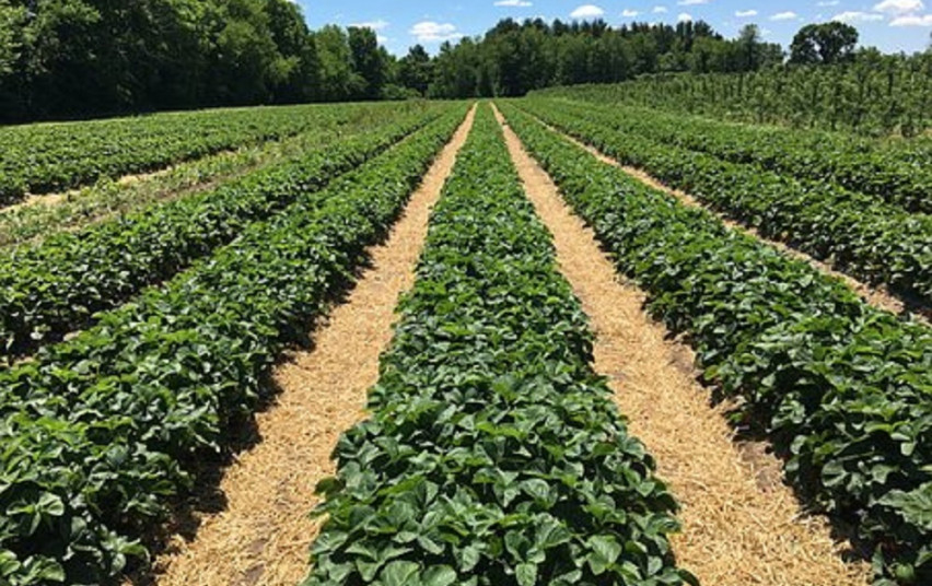KVIETIMAS: deklaravimo naujovės - Biržų laikraštis "Šiaurės Rytai"
