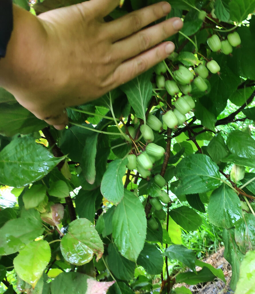 Parama jauniesiems ūkininkams – geriausia investicija - Biržų ...